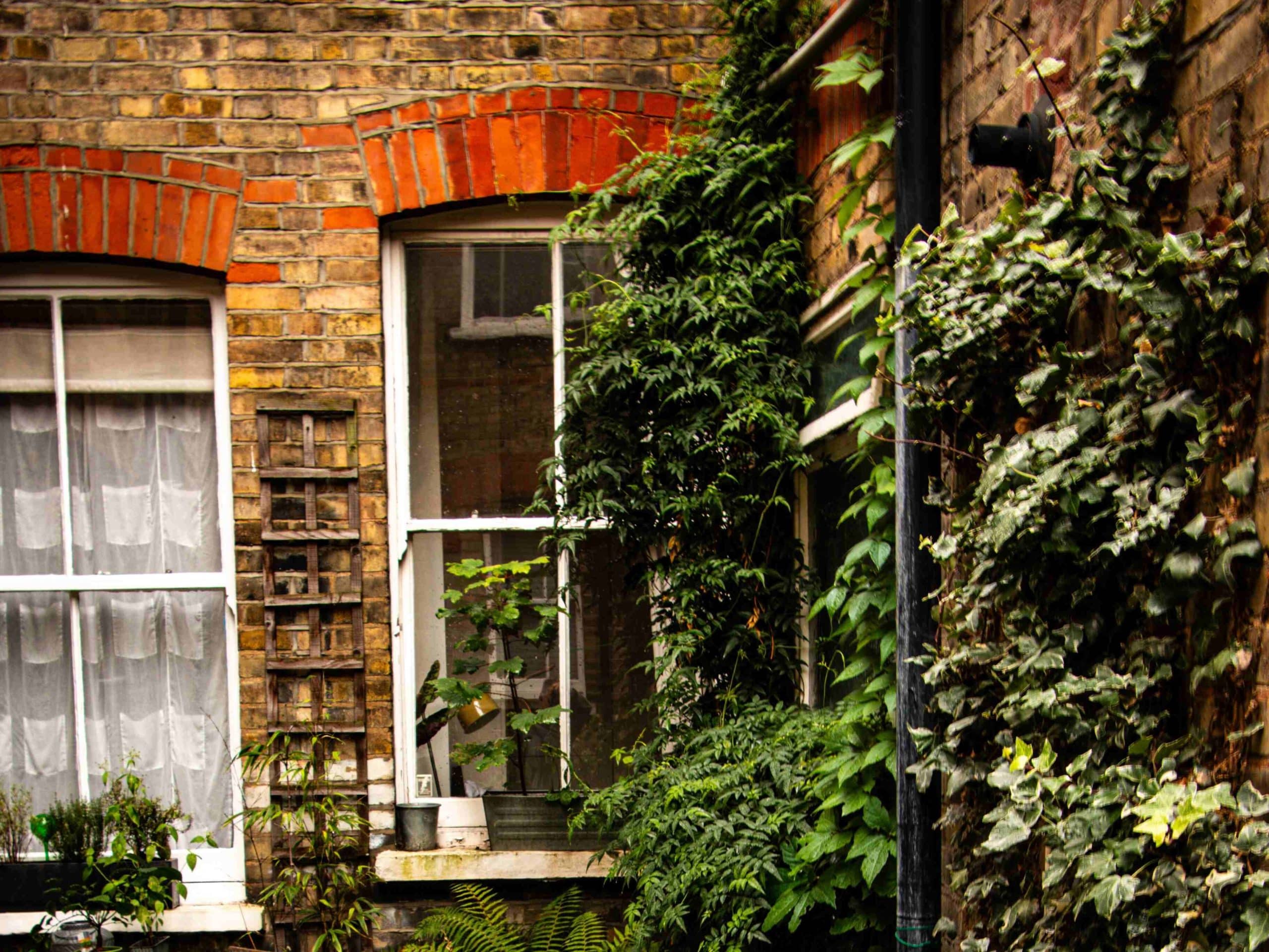 BUYING A PROPERTY – What’s The Right Type of Home Survey? | Right Survey